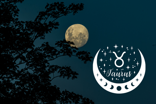 Taurus Moon: Traits, Characteristics, and Compatibility – Otter Spirit