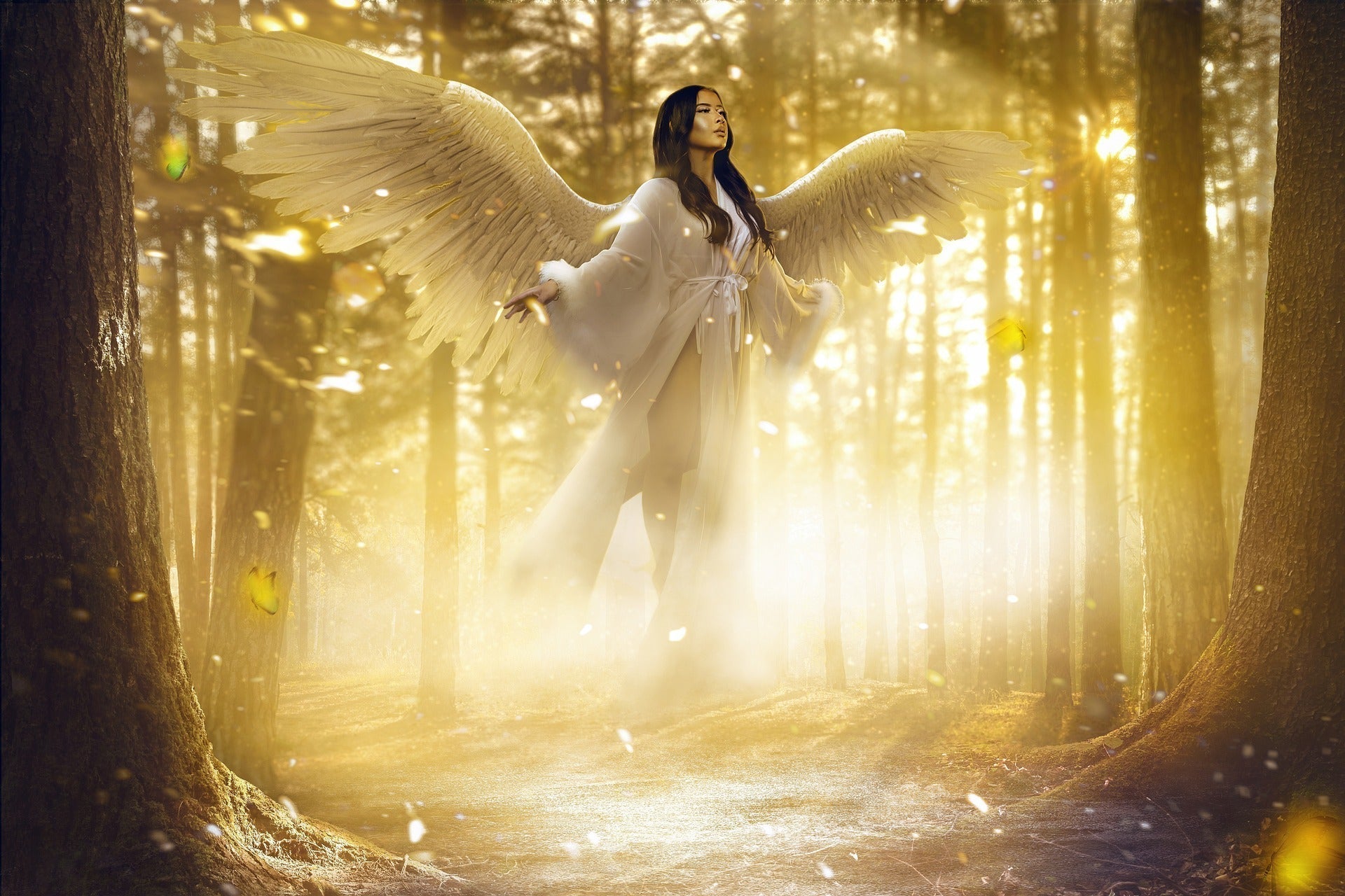55 Angel Number Meaning – Otter Spirit