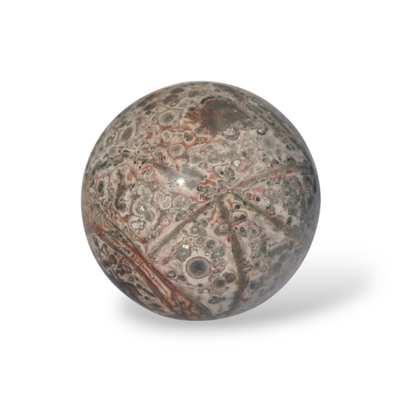 Leopard Skin Sphere | Otter Spirit | Natural Gemstones